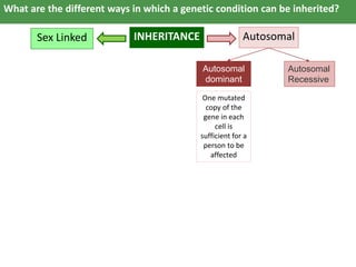 Patterns of inheritance | PPTX
