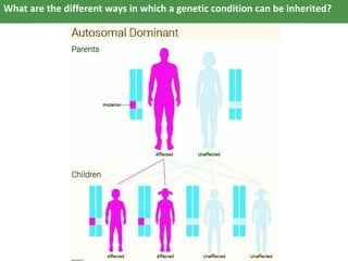Patterns of inheritance | PPTX