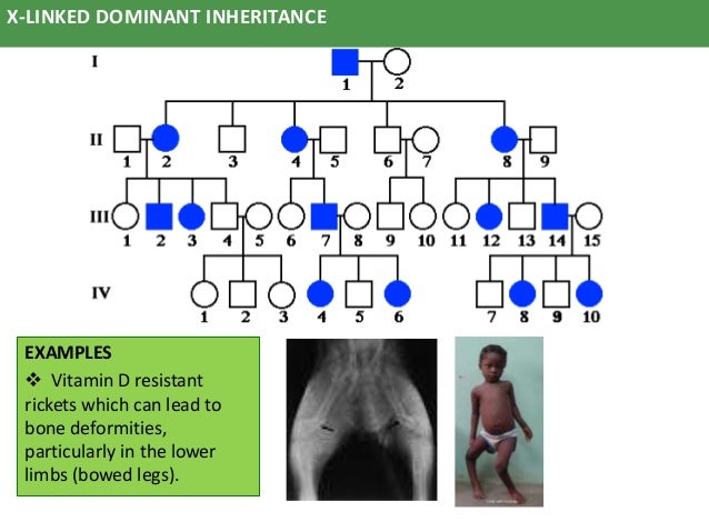 Patterns of inheritance
