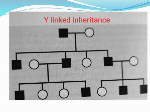 Patterns of inheritance | PPTX