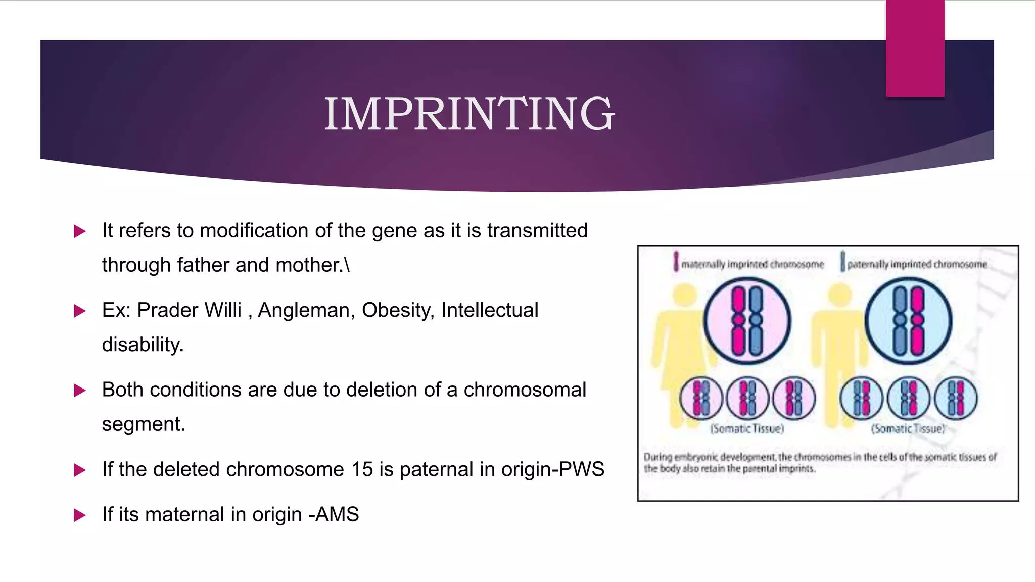 Patterns of inheritance | PPTX