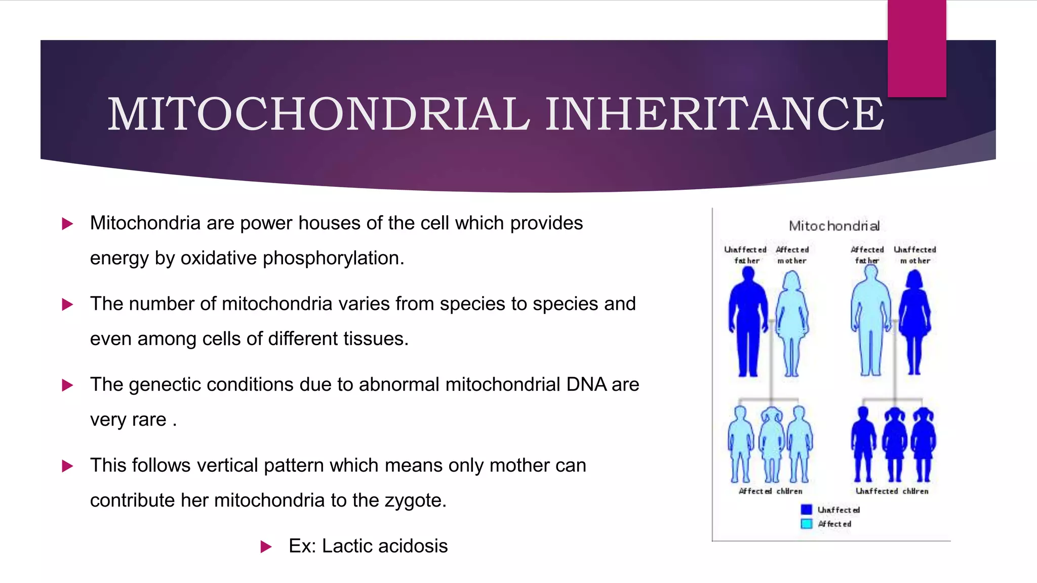 Patterns of inheritance | PPTX
