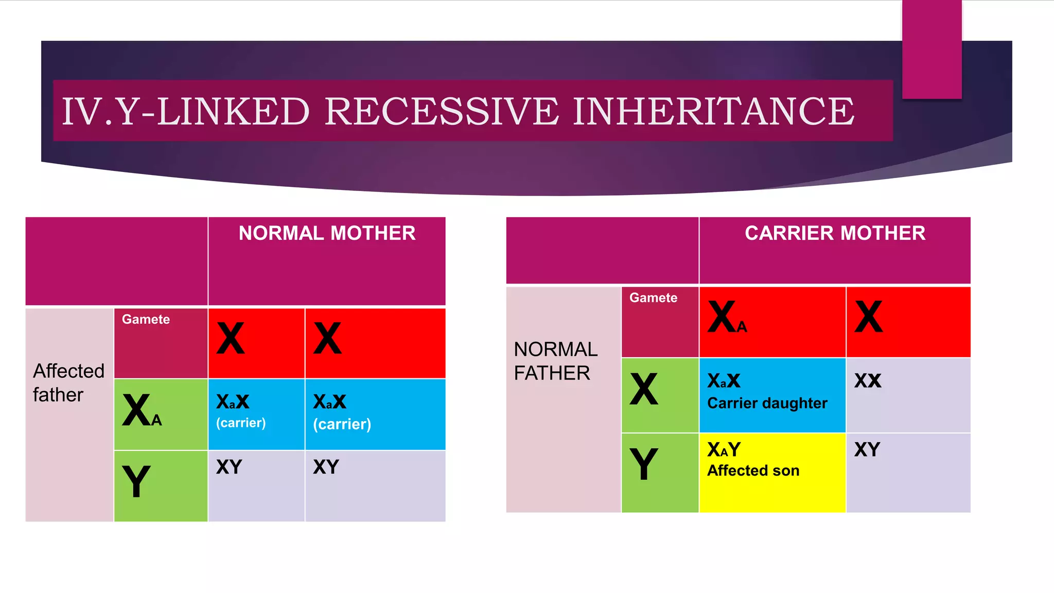Patterns of inheritance | PPTX | Infertility | Reproductive Health