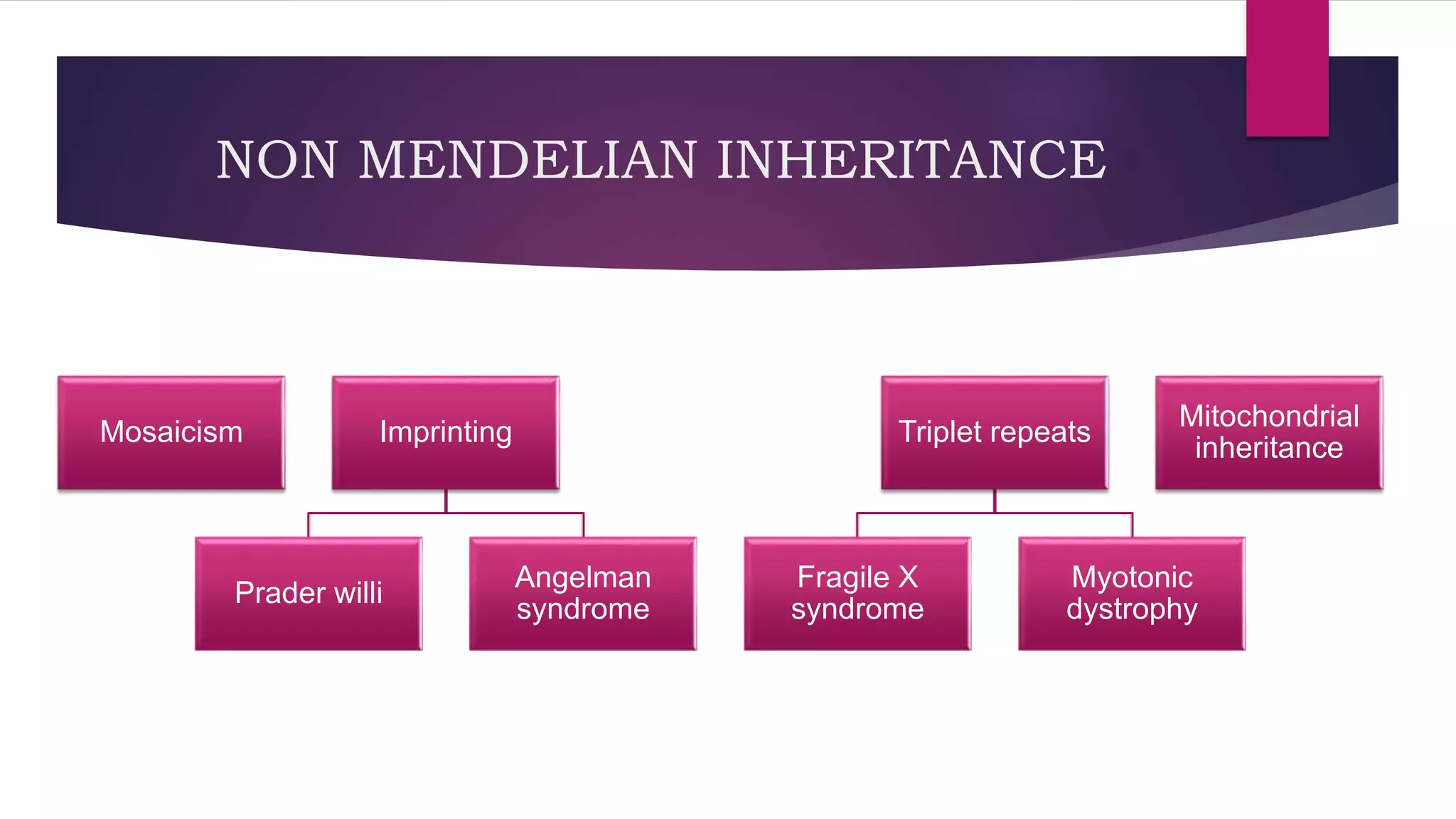 Patterns of inheritance | PPTX