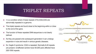 Patterns of inheritance | PPTX