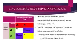 Patterns of inheritance | PPTX