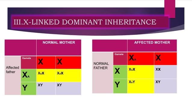 Patterns of inheritance | PPTX | Infertility | Reproductive Health