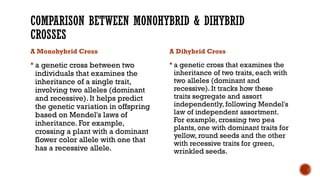 Patterns of Inheritance PowerPoint detailed | PPT