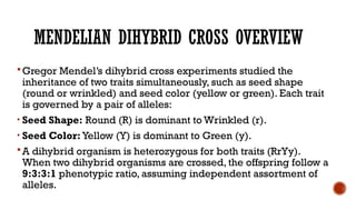 Patterns of Inheritance PowerPoint detailed | PPTX