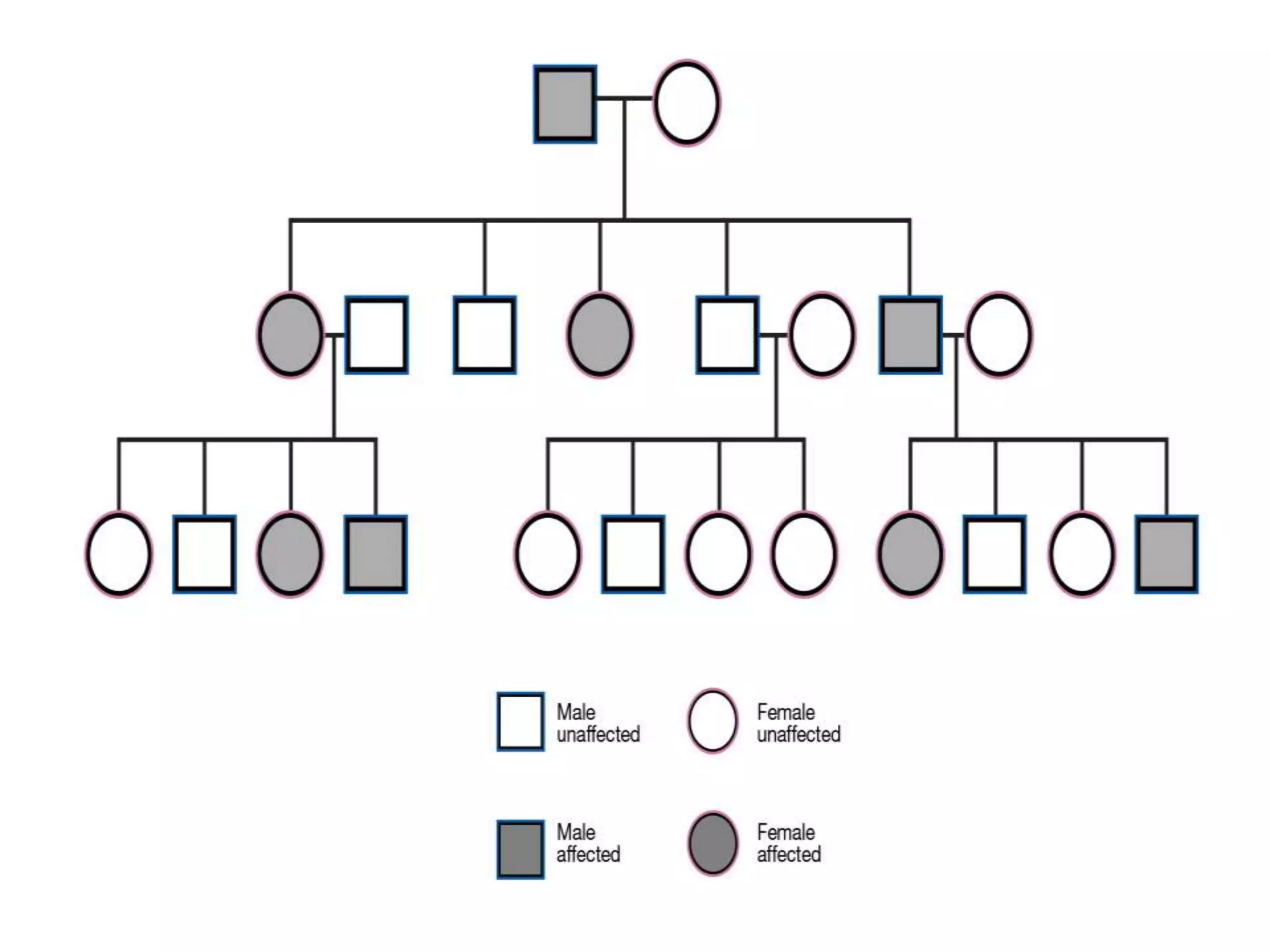 Patterns of Inheritance (Genetics) | PPTX