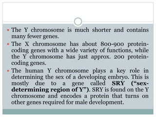 Patterns of Inheritance (Genetics) | PPTX