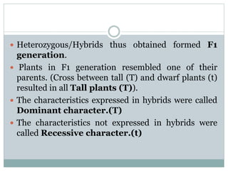 Patterns of Inheritance (Genetics) | PPTX