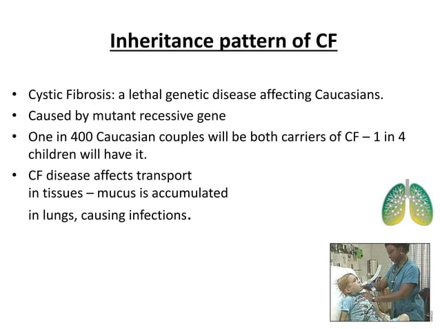 Patterns of inheritance mendelian inheritance | PPTX | Gardening | Home ...