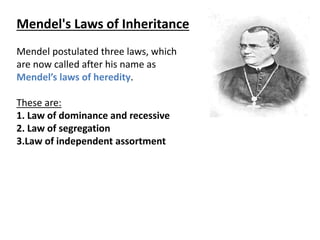 Patterns of inheritance mendelian inheritance | PPTX