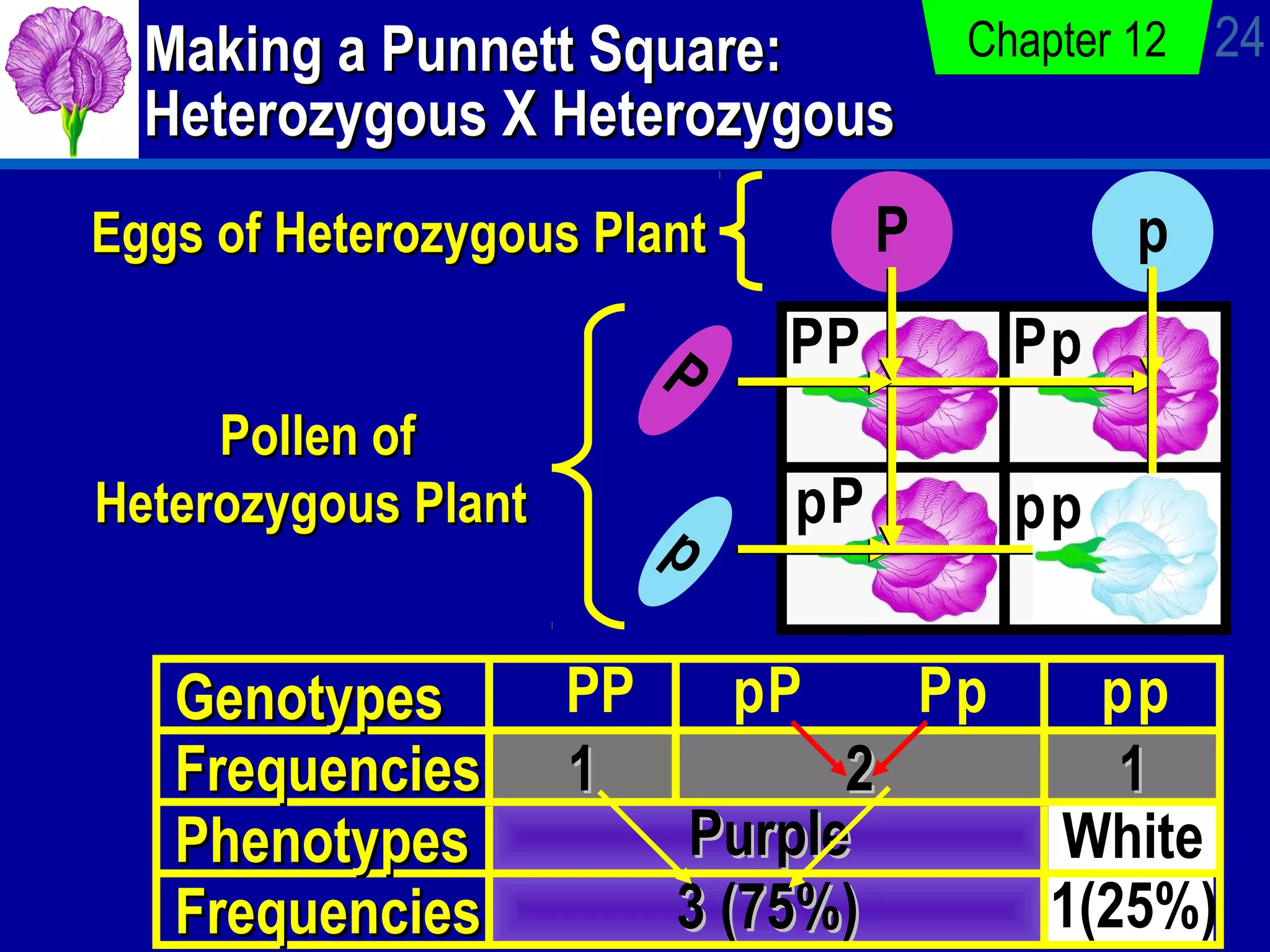 Patterns Of Inheritance Modified Ppt 8301