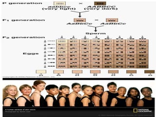 patternsofinheritancenon-mendelianinheritance-160331202116.pdf