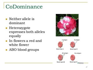 Patterns of inheritance non mendelian inheritance | PPTX
