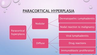 Patterns of lymph node hyperplasia | PPTX