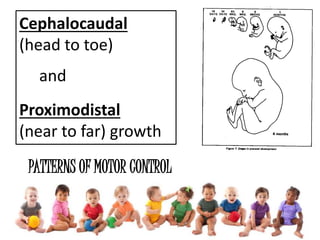 Child and Adolescent Development | PPTX | Parenting Babies and Toddlers ...