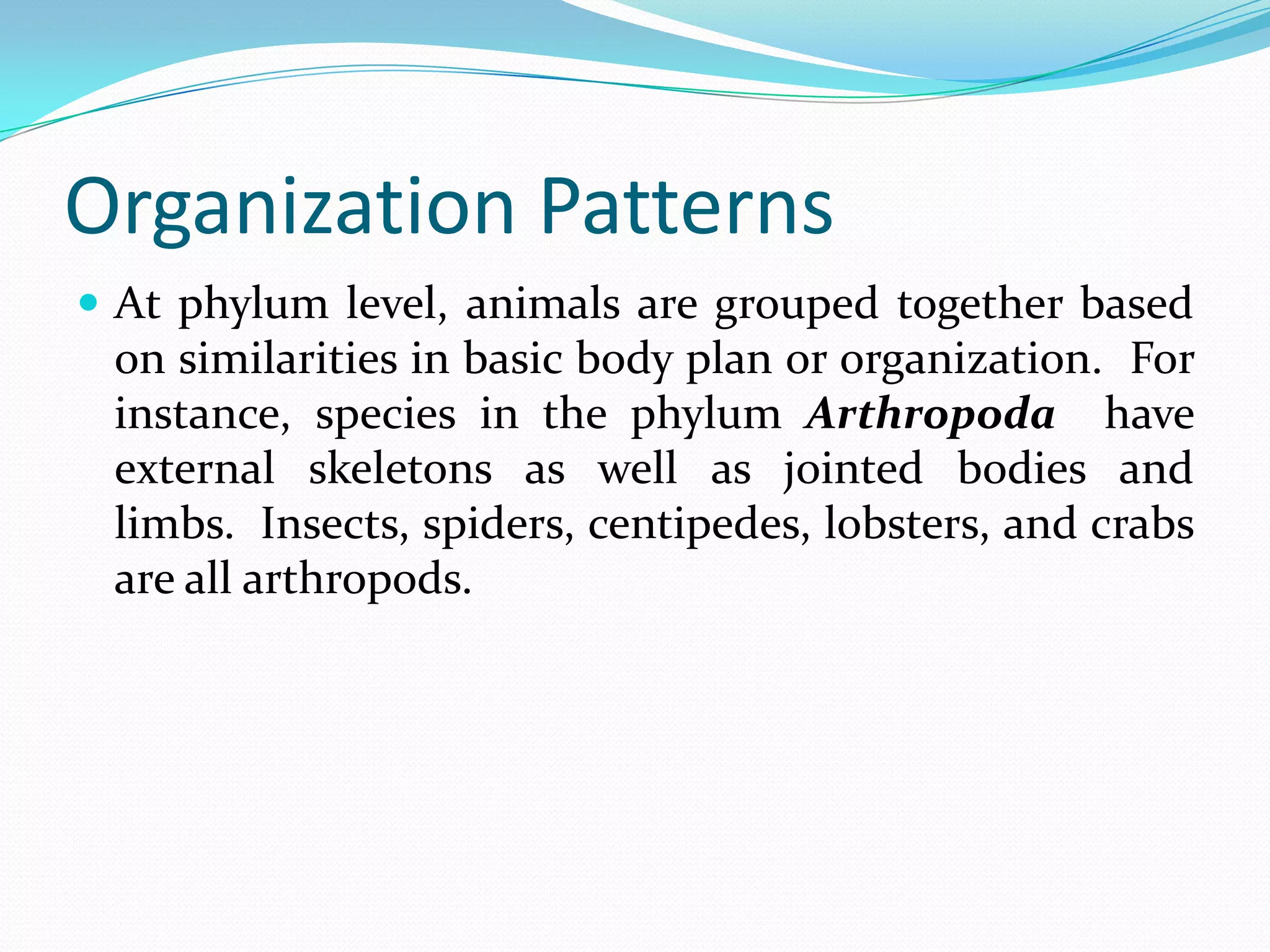 Patterns of organization | PPTX
