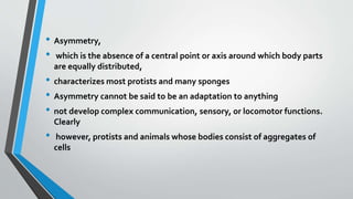 Patterns of orgnization in animals | PPTX