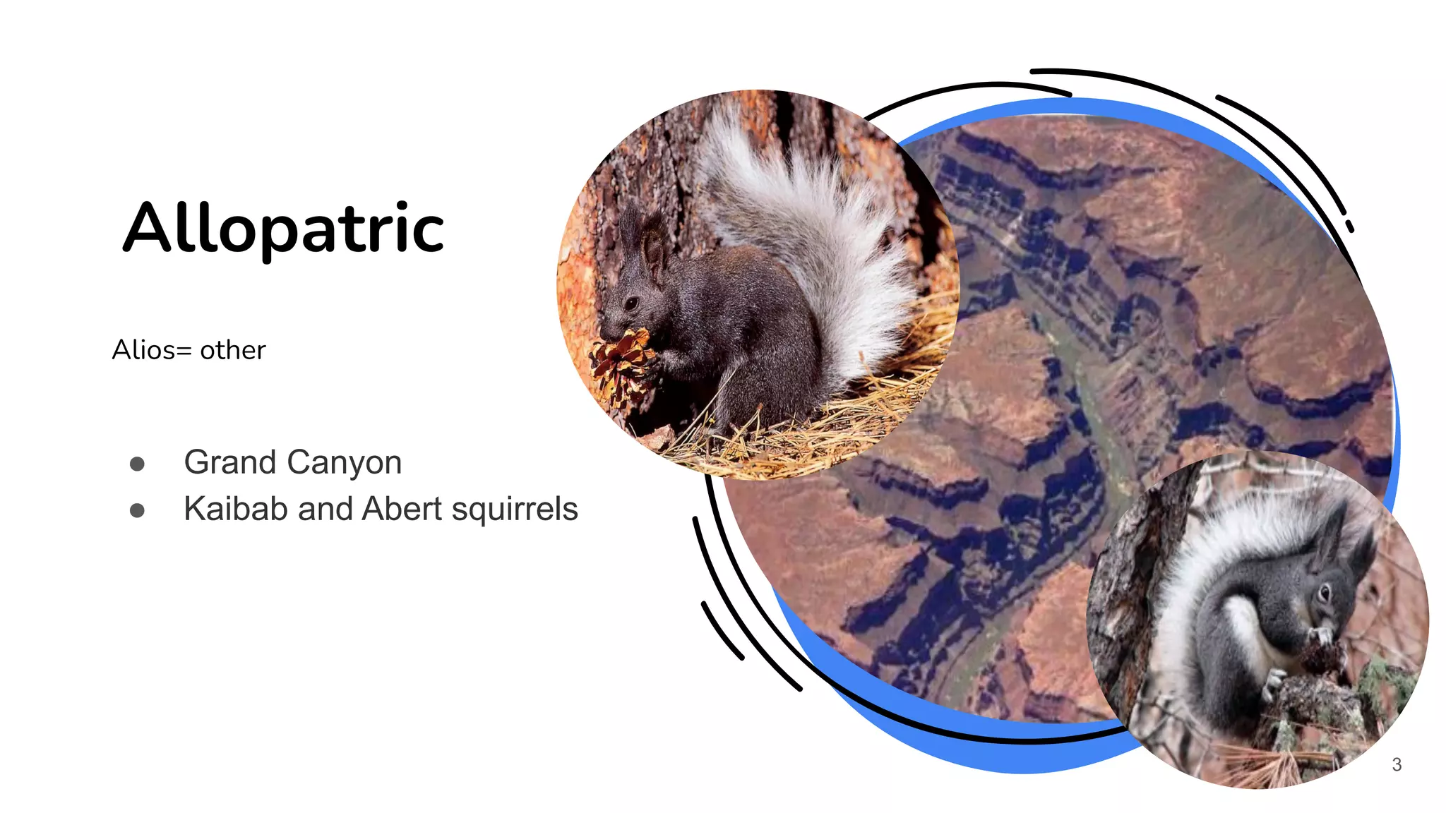 Patterns of speciation- Allopatric, Sympatric, Parapatric and ...