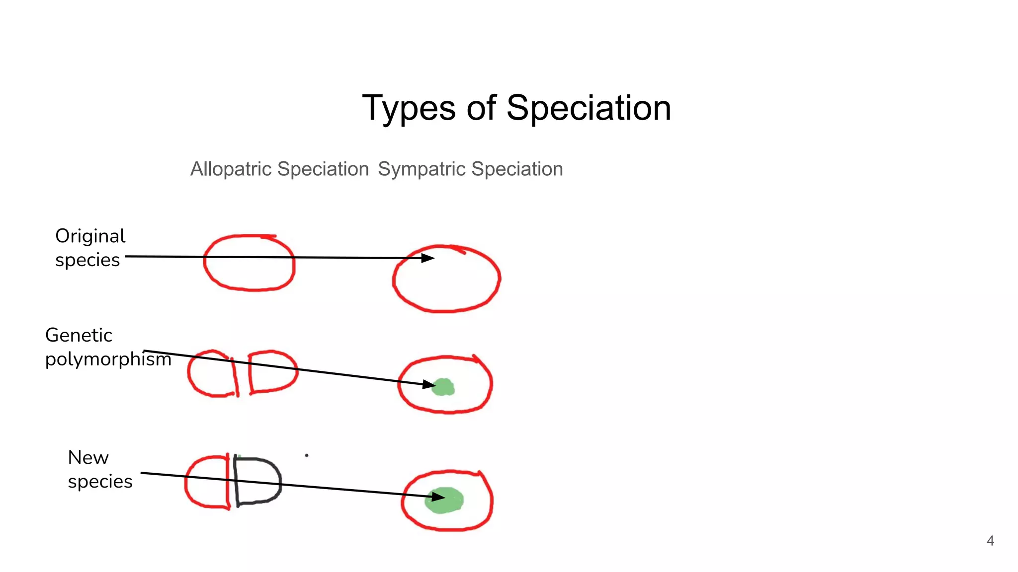 Patterns of speciation- Allopatric, Sympatric, Parapatric and ...