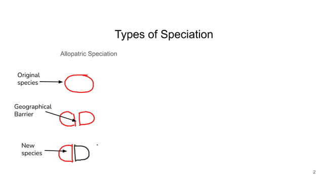 Patterns of speciation- Allopatric, Sympatric, Parapatric and ...