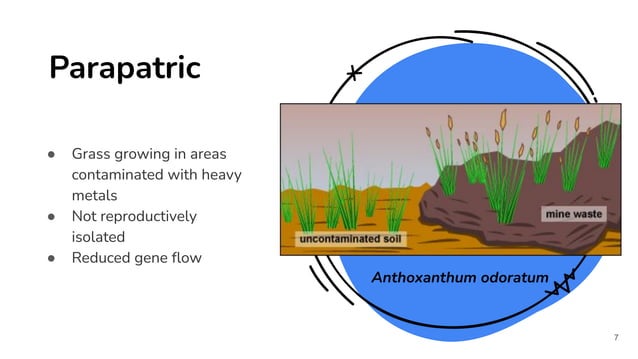 Patterns of speciation- Allopatric, Sympatric, Parapatric and ...