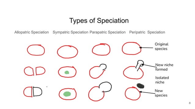 Patterns of speciation- Allopatric, Sympatric, Parapatric and ...