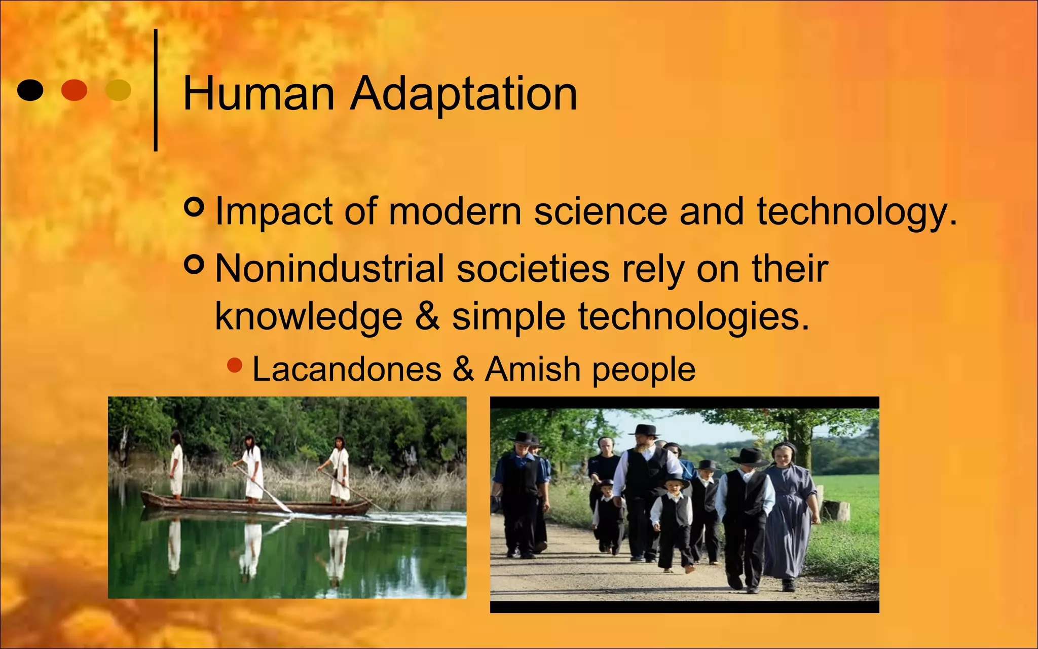 Patterns of subsistence | PPT