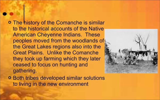 Patterns of subsistence | PPT