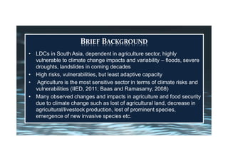 Patterns of subsistence shree's presentation | PPT