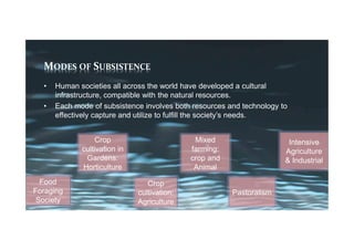 Patterns of subsistence shree's presentation | PPT