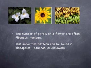 Patterns sequences | PPT