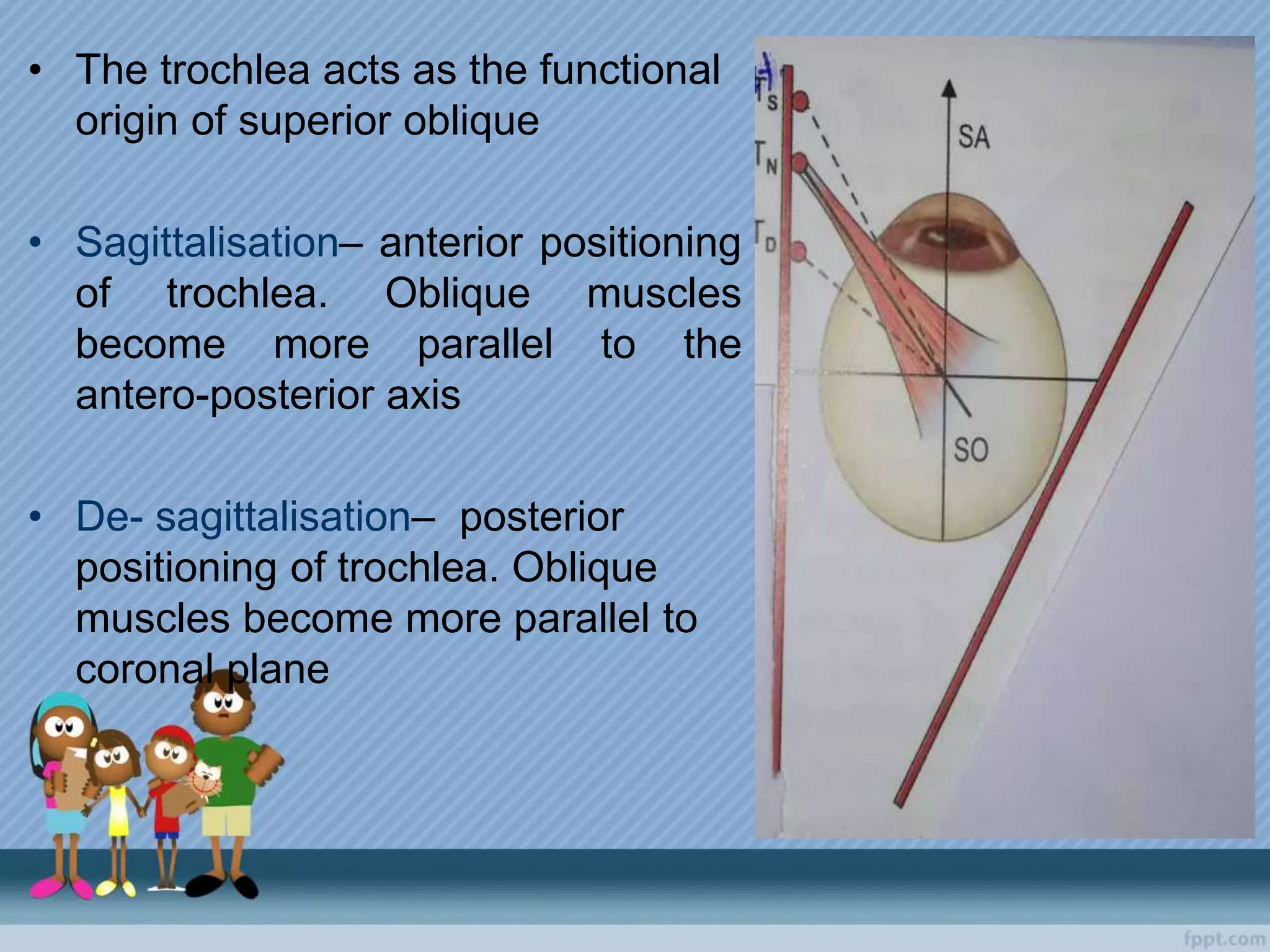 Pattern Strabismus.ppt