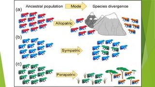 PATTERNS WITH DESCENT MODIFICATION e.pptx
