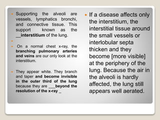 Patttern of lung disease on chest x ray | PPTX