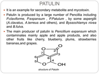 Patulin-secondary metabolite | PPT
