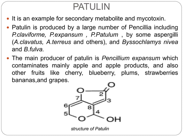 Patulin-secondary metabolite | PPT