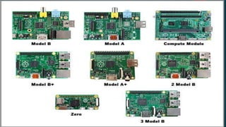 Raspberry Pi | PPTX | Computer Peripherals | Computing