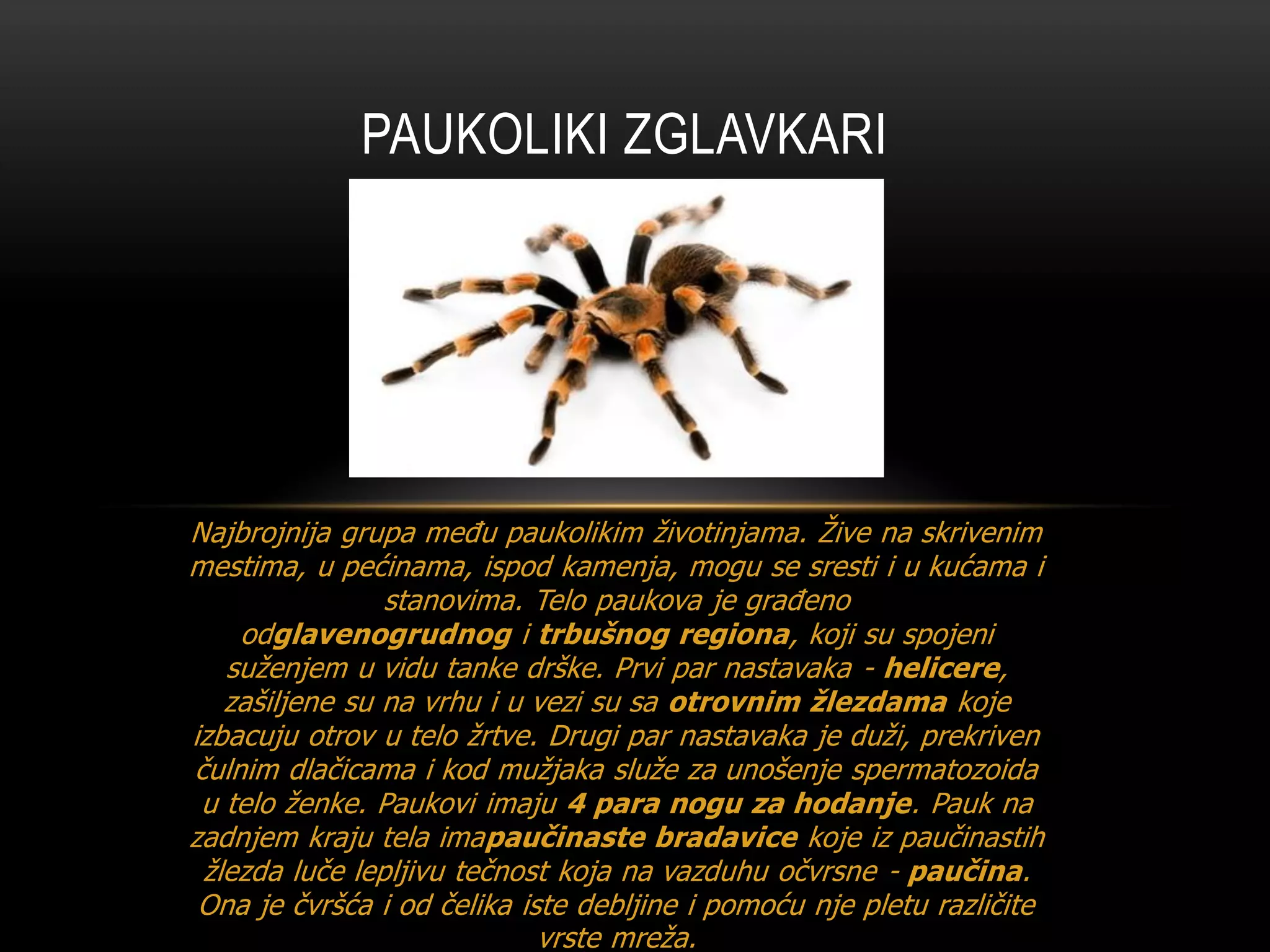 Paukoliki zglavkari | PDF