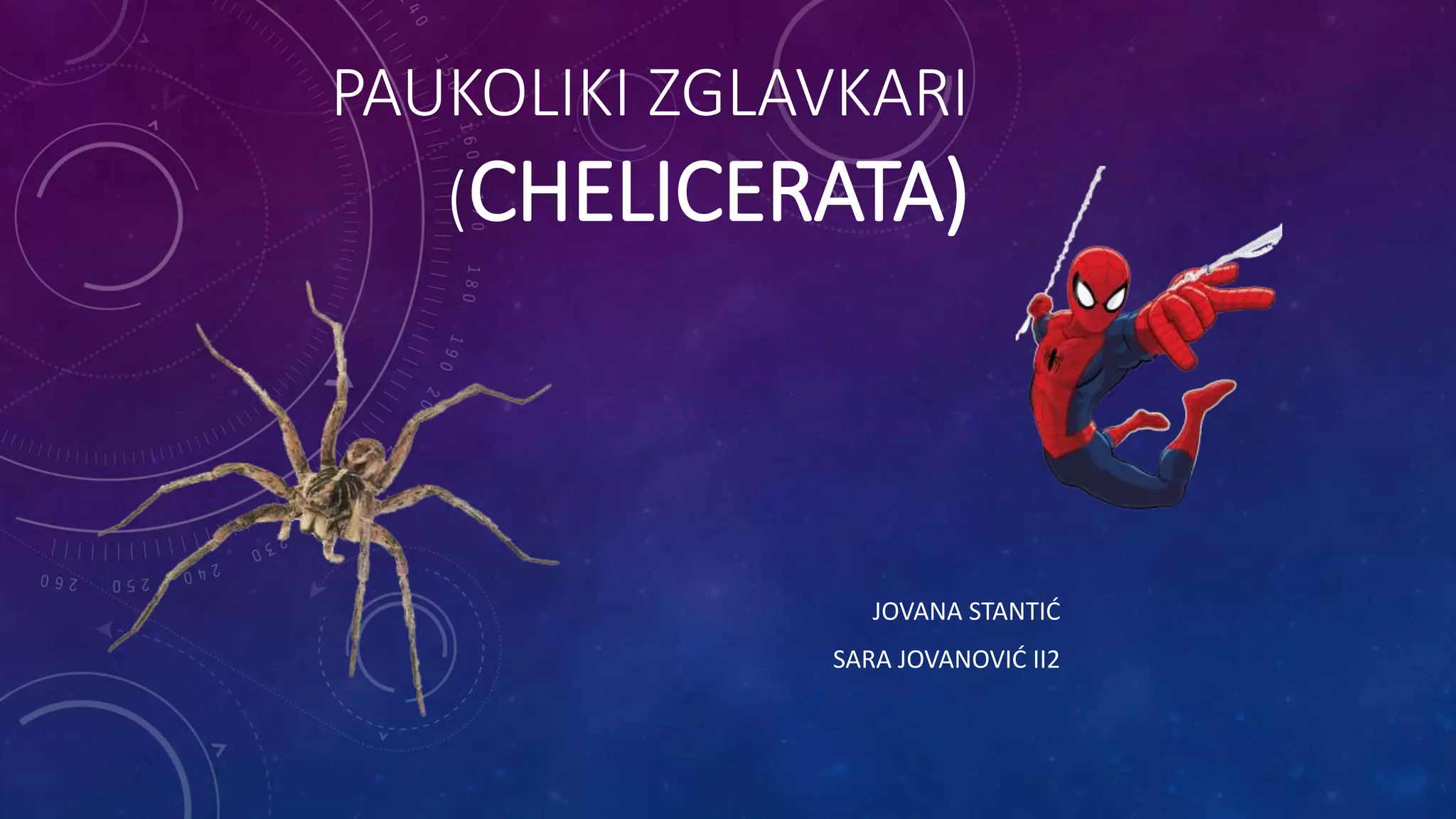 Paukoliki zglavkari | PPTX