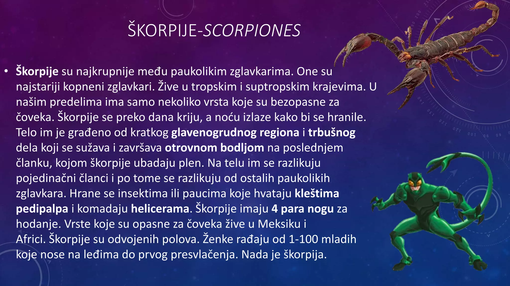 Paukoliki zglavkari | PPTX