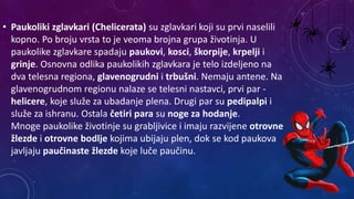 Paukoliki zglavkari | PPT