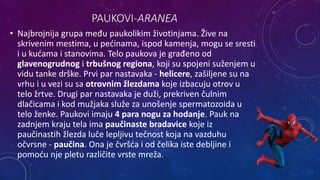 Paukoliki zglavkari | PPTX