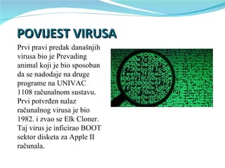 Paukovic i-racunalni-virusi | PPT
