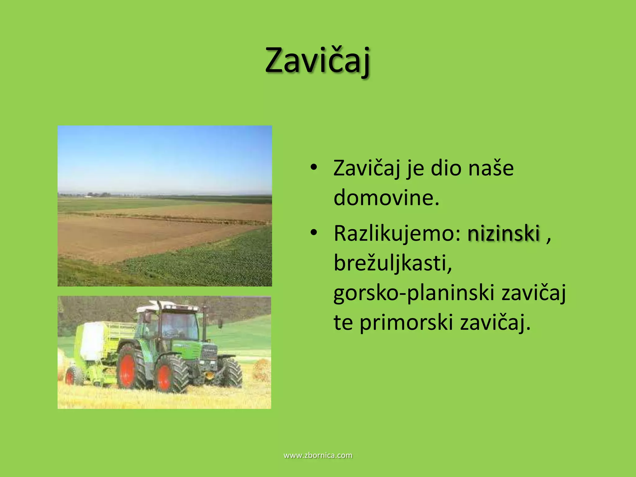 Paukovic nizinski-zavicaj | PPSX