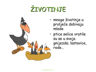 Paukovic proljece | PPS