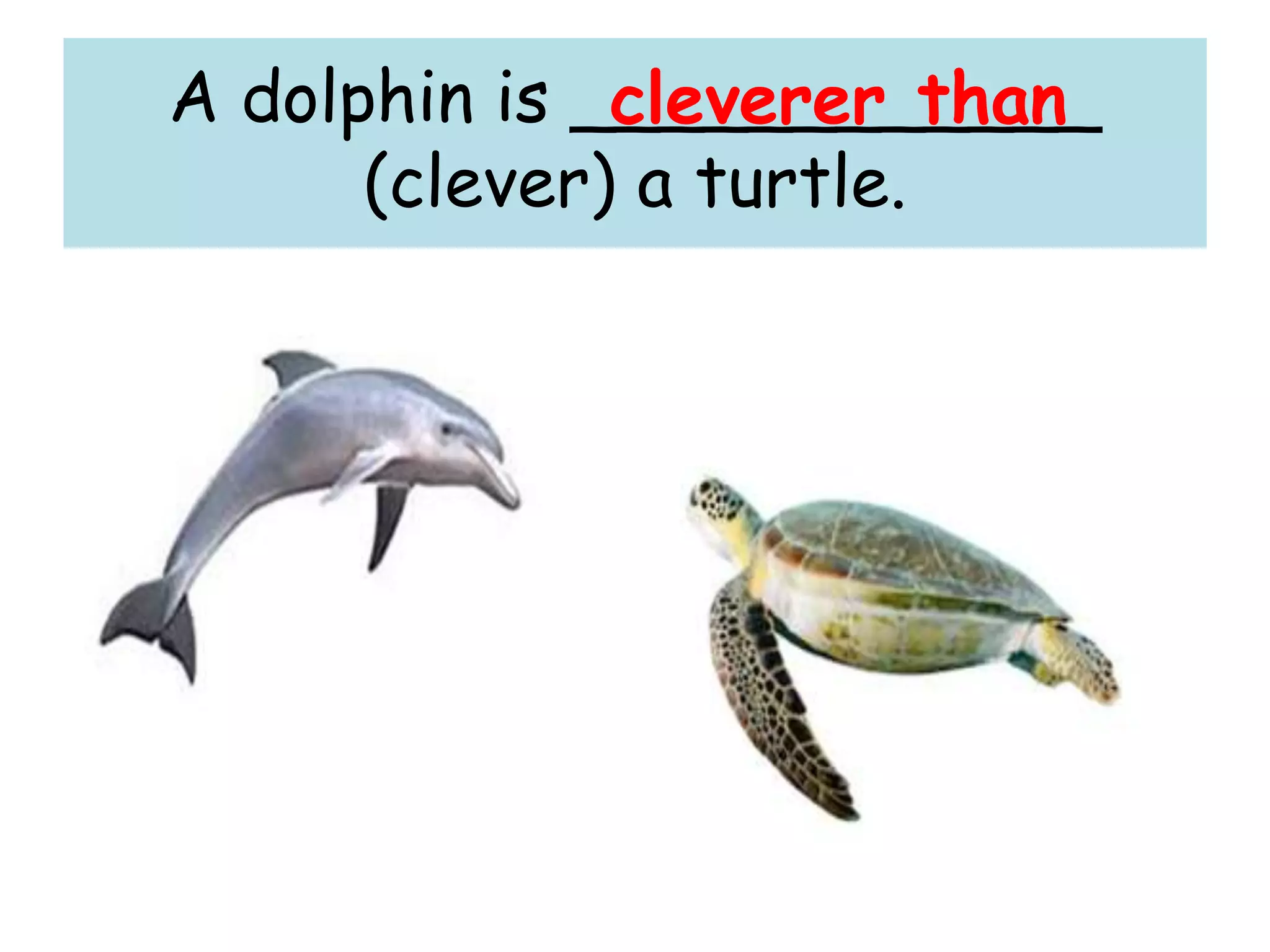 Comparing animals | PPTX